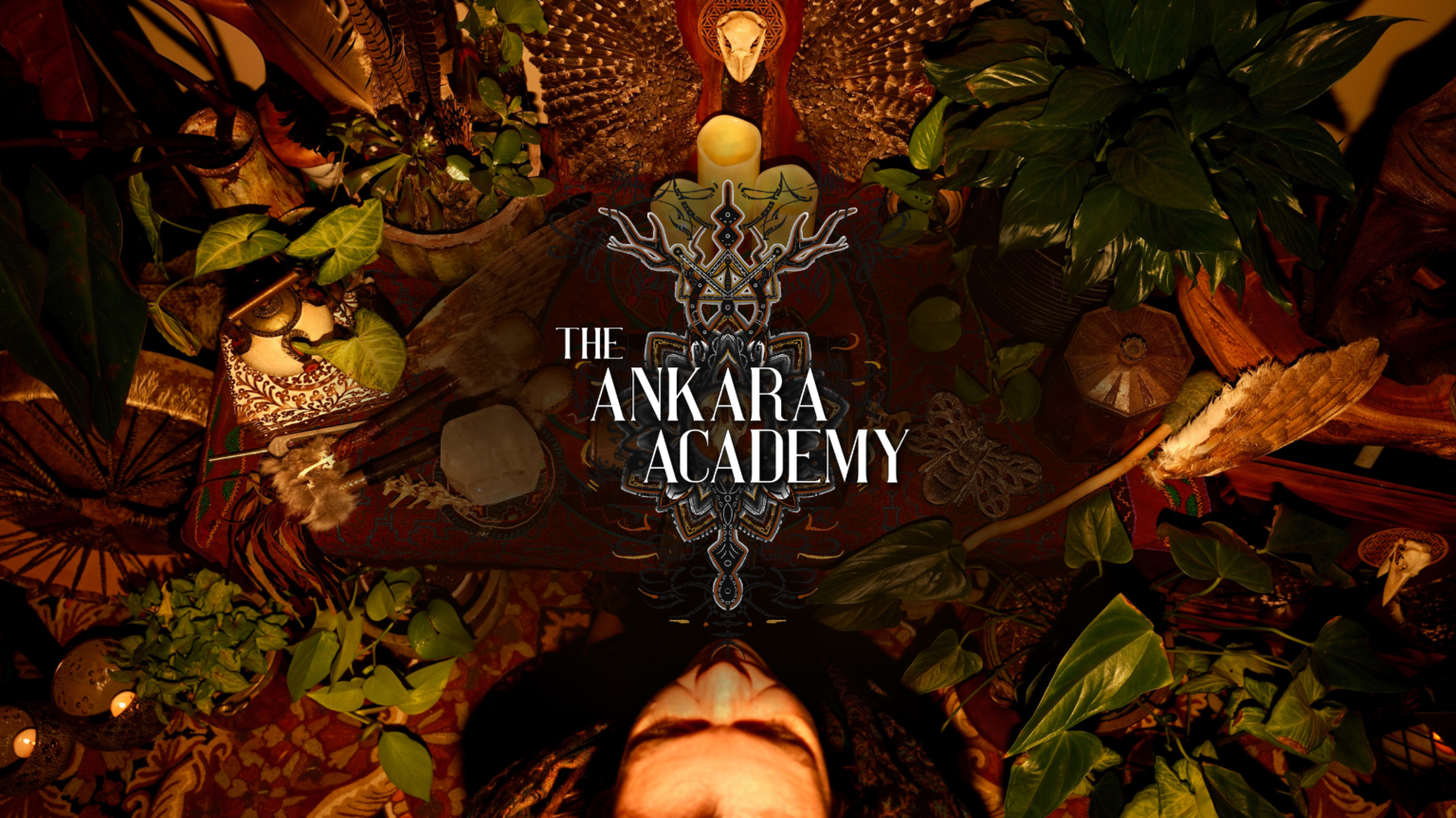 The Tarot Medium | The Shamanic Path by Heather Leighton